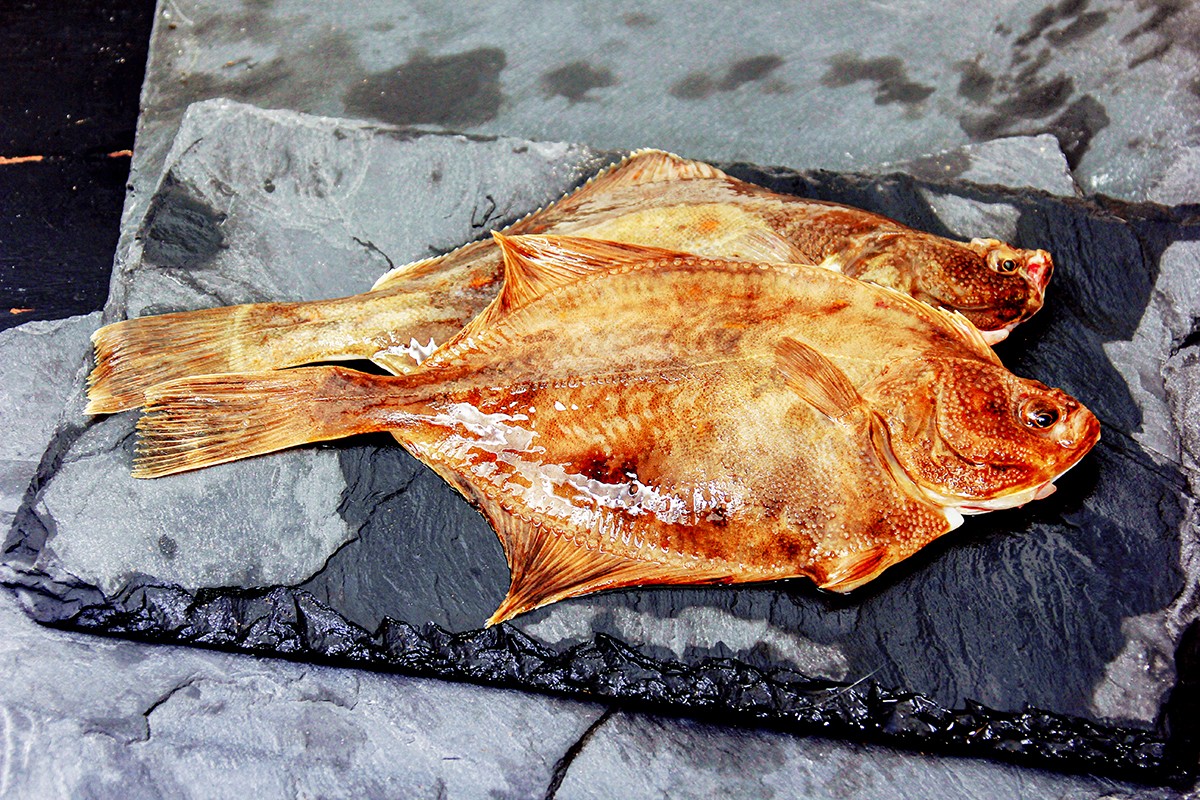 Provansas plekste - CopesLietas.lv