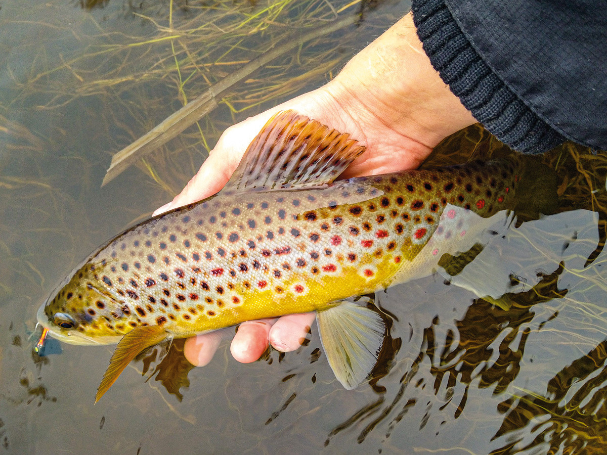 Kā mēs ar Sandiju copēt braucām - CopesLietas.lv